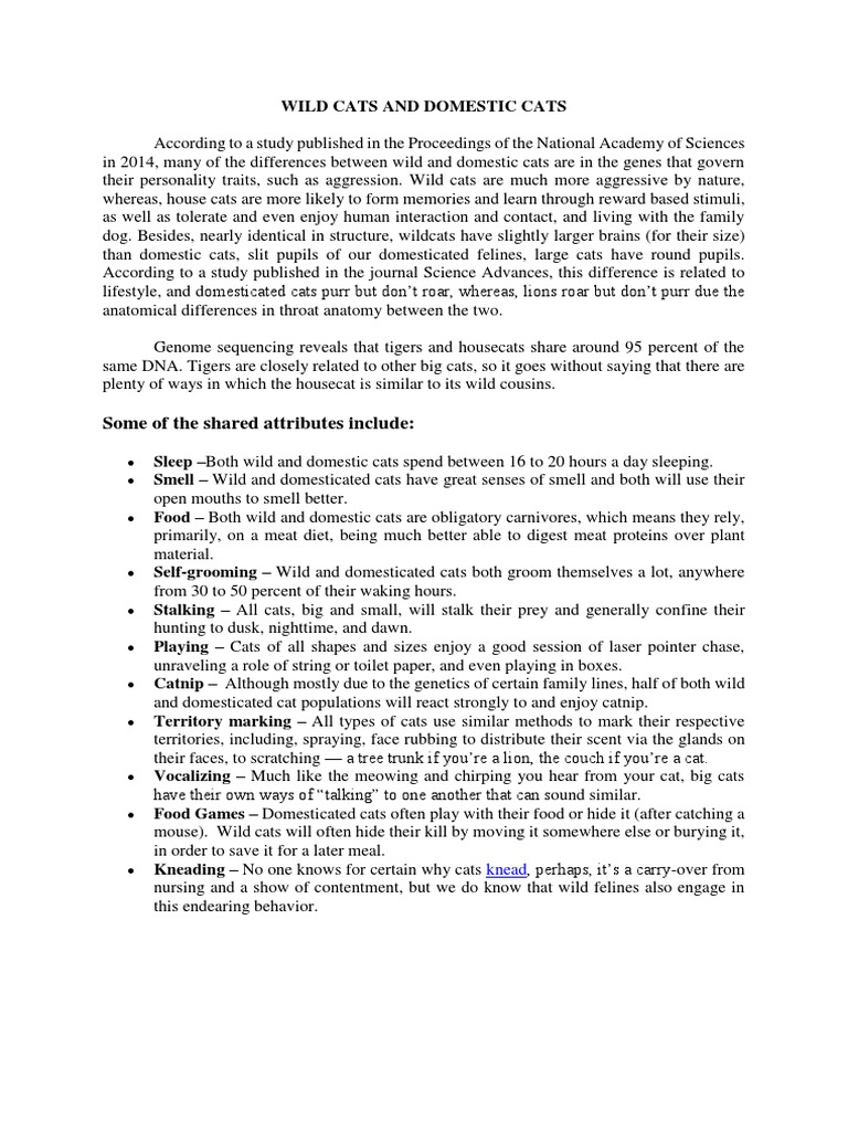 Wild Cats and Domestic Cats | PDF | Cats | Biology