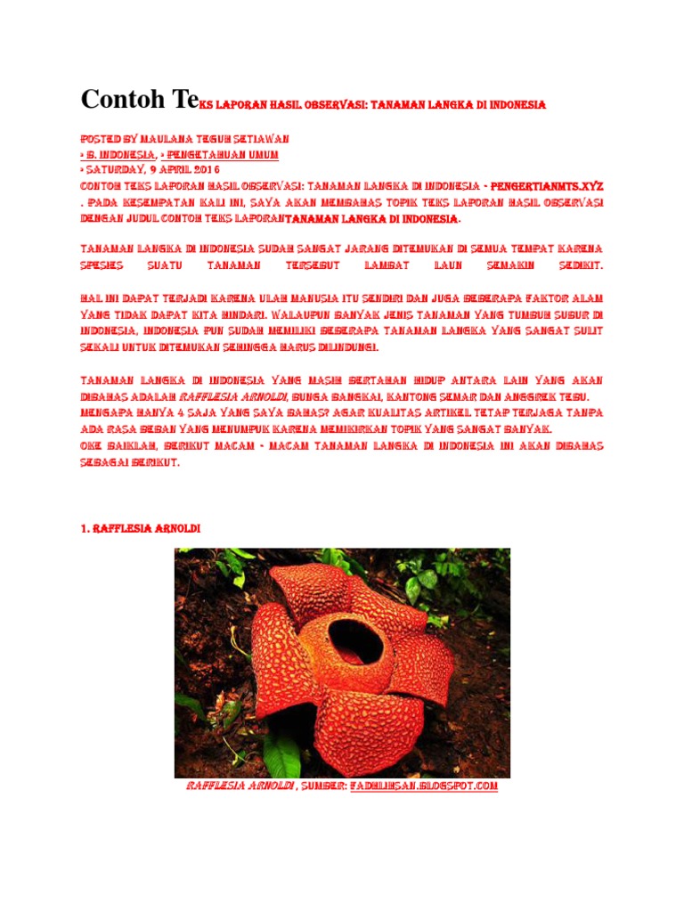 29+ Contoh Hasil Observasi Tentang Bunga Bangkai yang Mantul ...