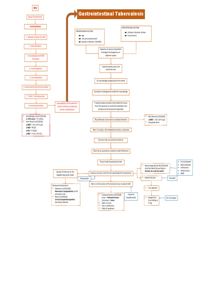 Gastrointestinal Tuberculosis: Pathogenesis | PDF | Macrophage ...