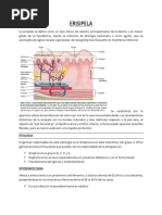 Fuerzas de Starling | PDF | Edema | Capilar