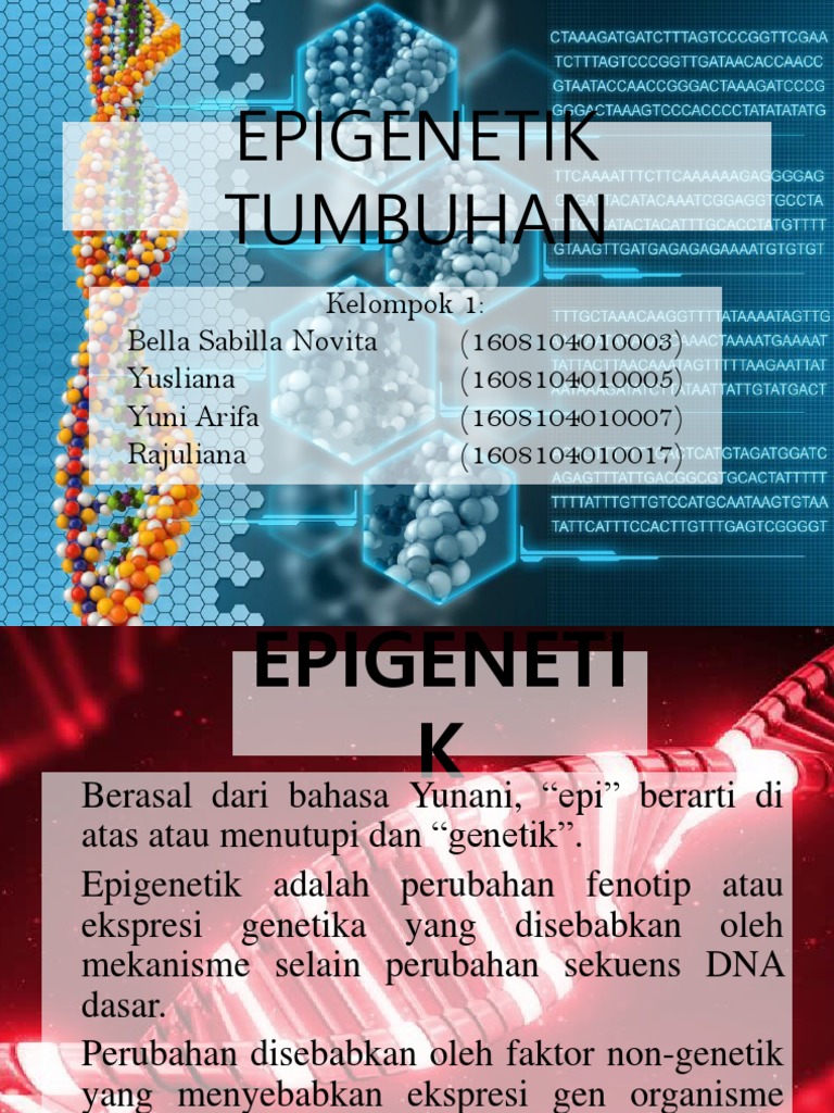 Epigenetik Tumbuhan | PDF