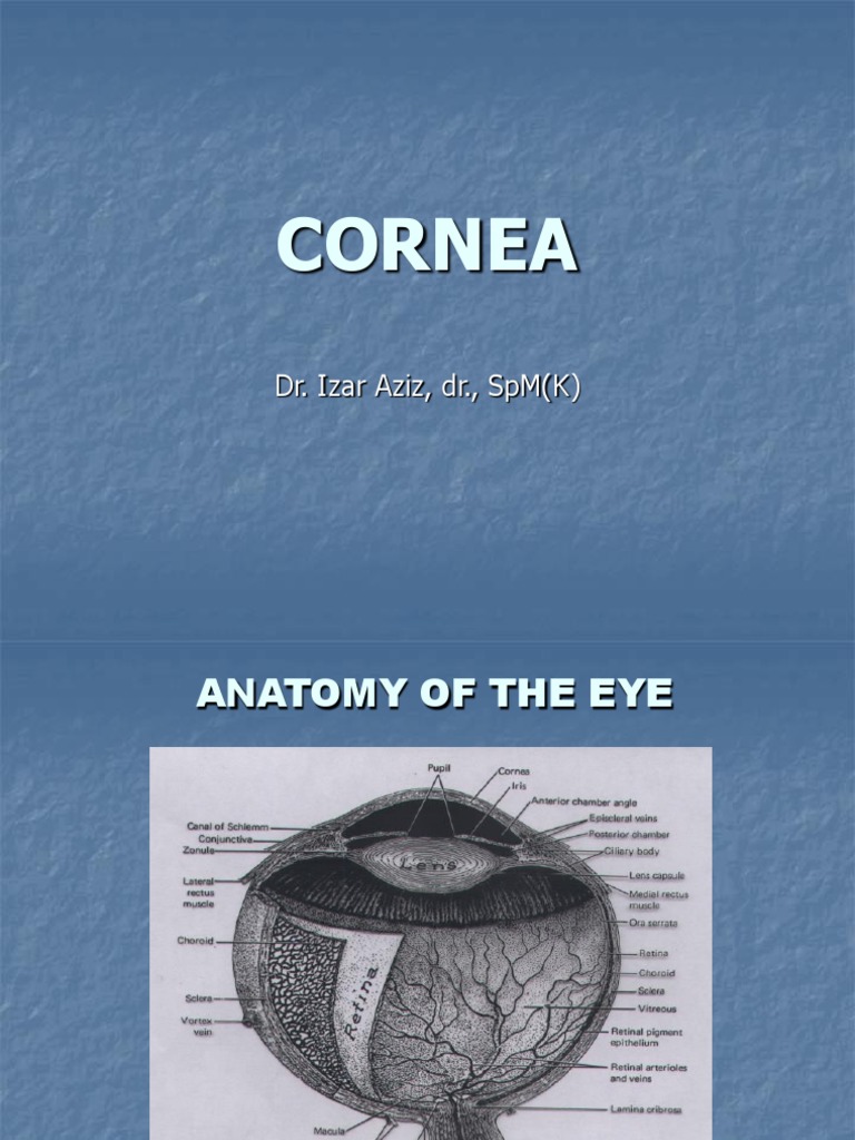 Anatomy, Causes, Symptoms, and Treatment of Corneal Inflammation ...