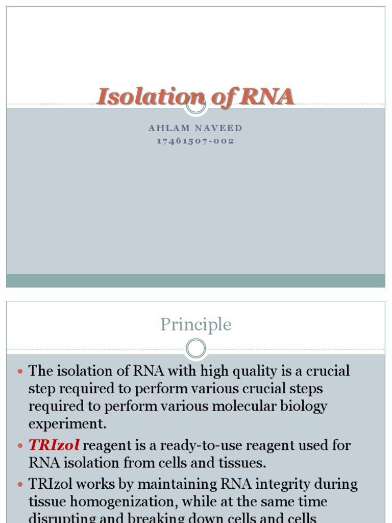 Isolation of RNA | PDF | Precipitation (Chemistry) | Solution