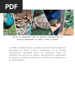 Apéndices de La CITES (General) PDF | PDF | Organismos | Familia