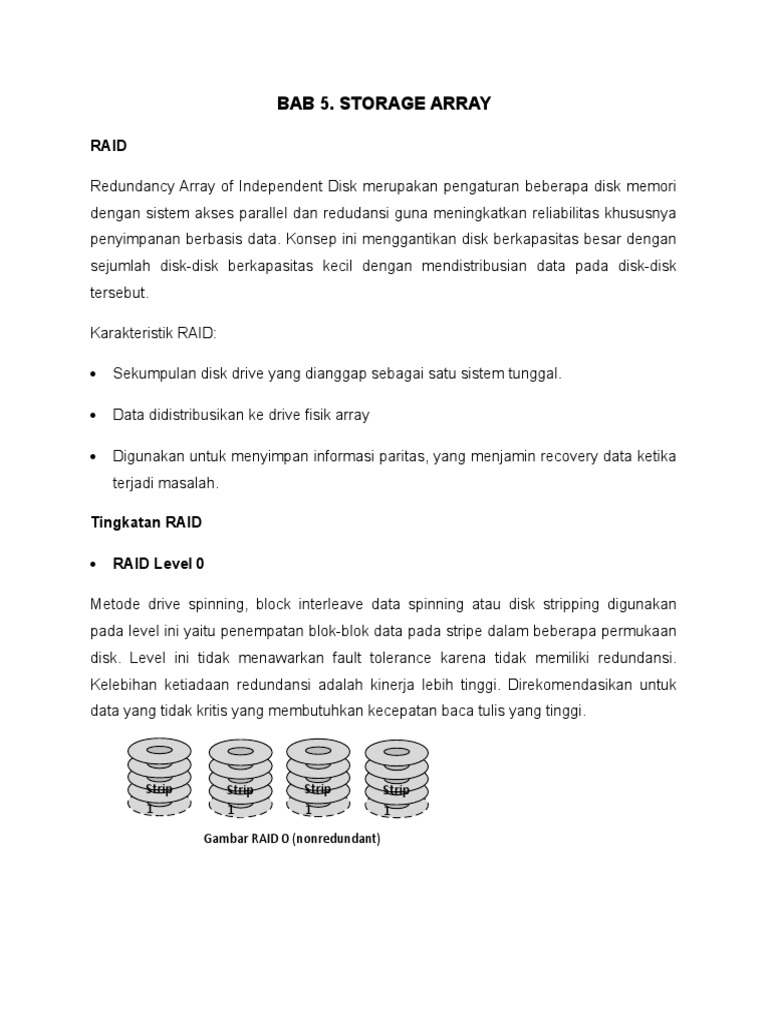 D Storage Array | PDF