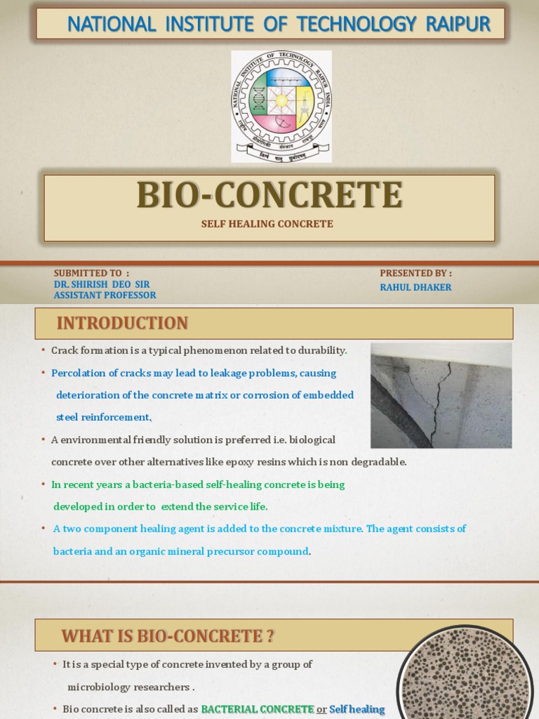 Bio Concrete | PDF | Concrete | Bacteria