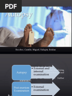 Autopsy of A Dill Pickle Person Lab | PDF | Abdomen | Anatomical Terms ...