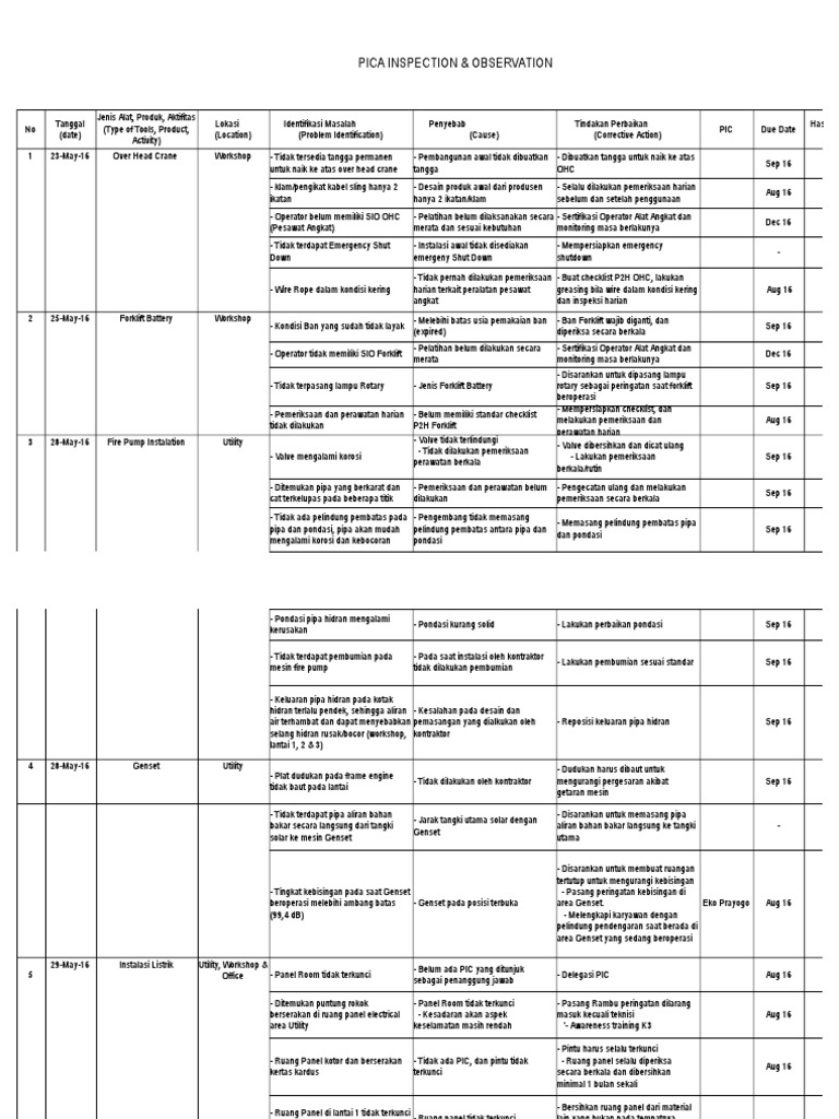 PICA Inspection & Observation | PDF