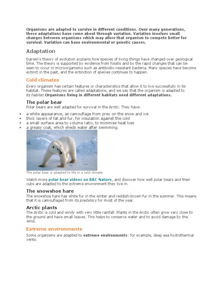 Organisms Are Adapted | PDF