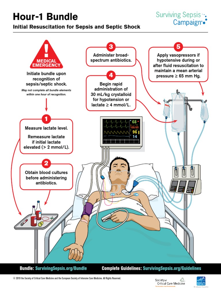 Surviving Sepsis Campaign Hour 1 Bundle | PDF | Sepsis | Traumatology