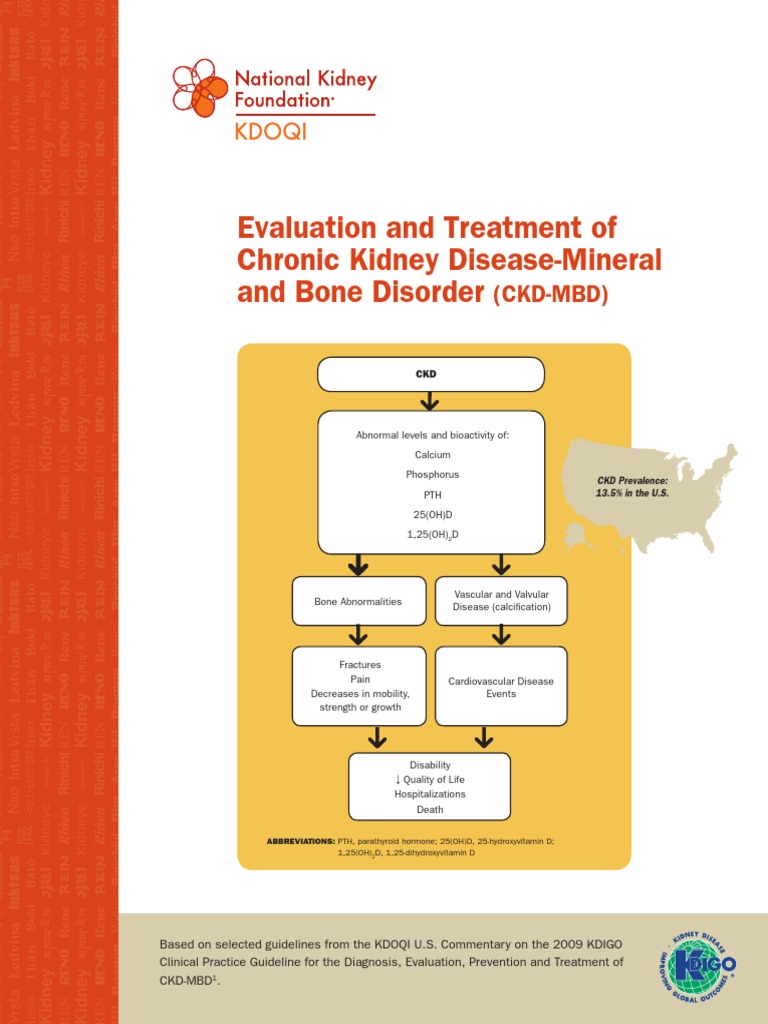 KDOQI BoneGuide | PDF | Chronic Kidney Disease | Osteoporosis