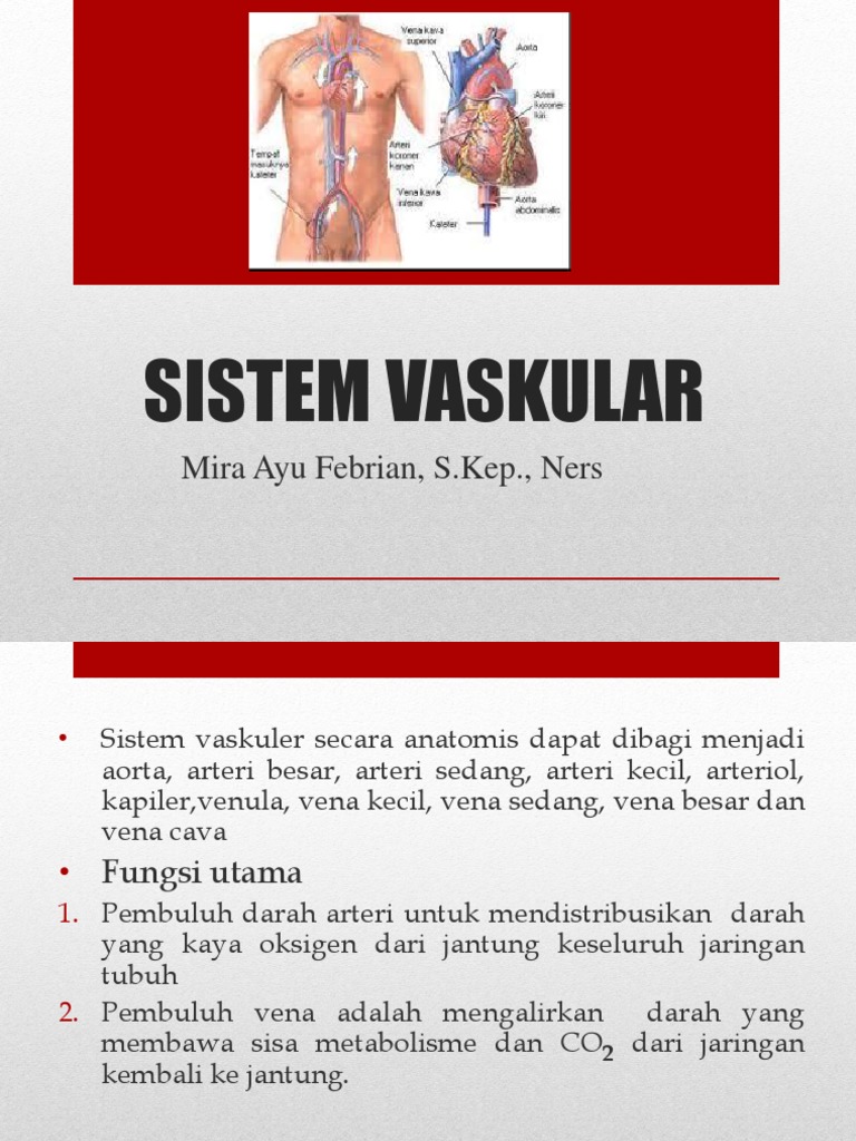 SISTEM VASKULAR DAN FUNGSINYA | PDF