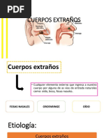 Signo de Hoffman y su evaluación clínica | PDF | Síndrome del túnel ...
