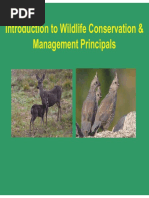 Ecology Lab - Predator Prey Interactions | PDF | Predation | Herbivore