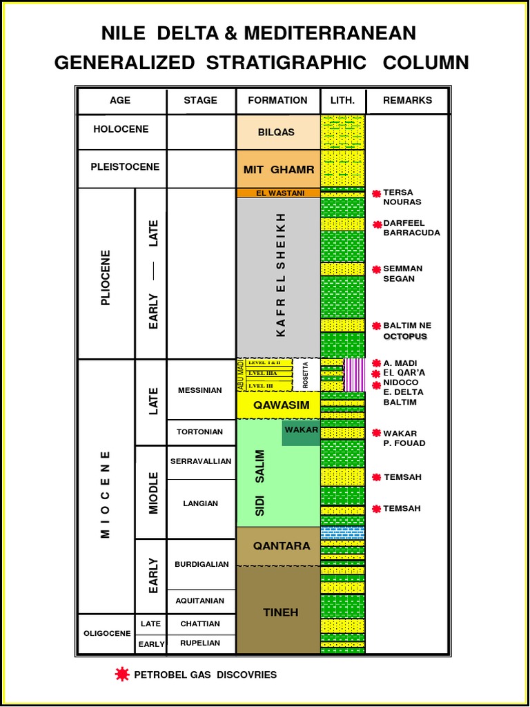 Stratigraphic Insights for Geologists | PDF | Geological Epochs | Geology