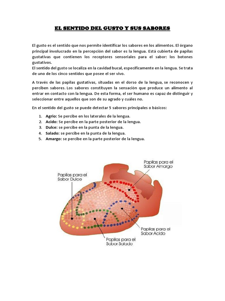 El Gusto Es El Sentido Que Nos Permite Identificar Los Sabores en Los ...