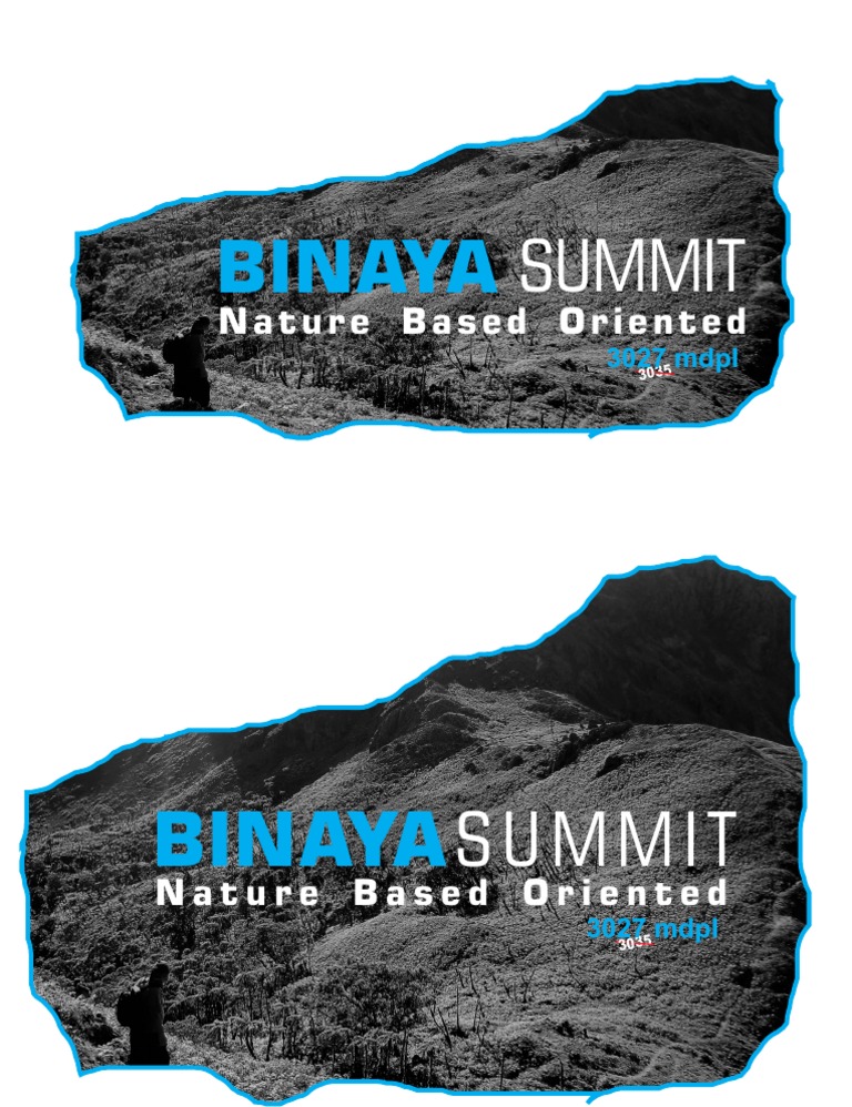Binaya Summit | PDF