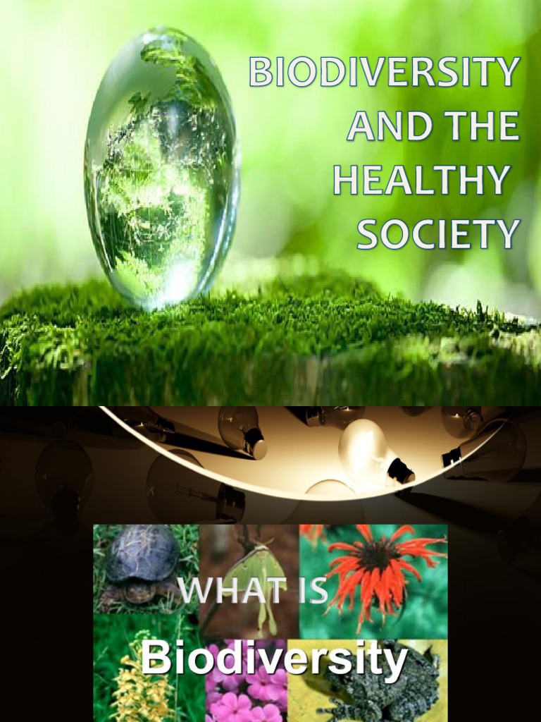 Biodiversity | PDF | Biodiversity | Invasive Species