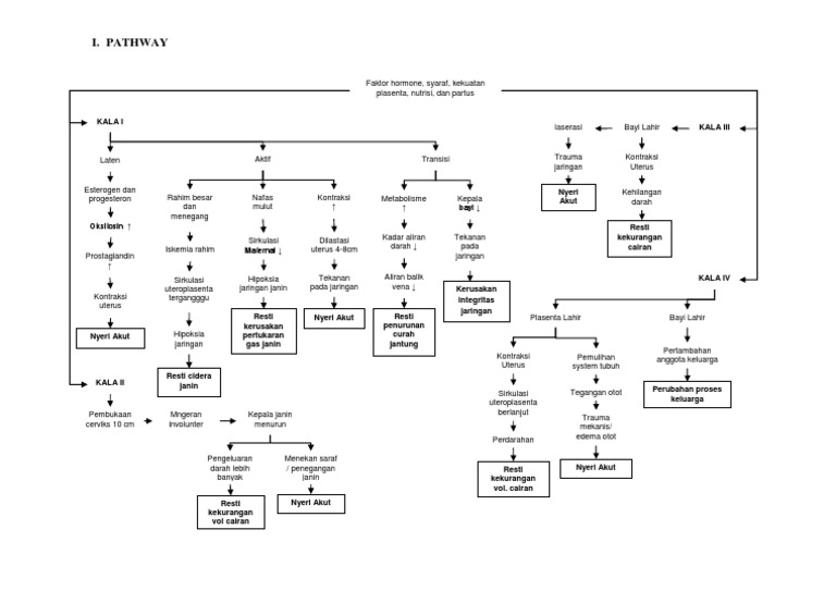 Pathway Intrapartum dan Persalinan Normal | PDF