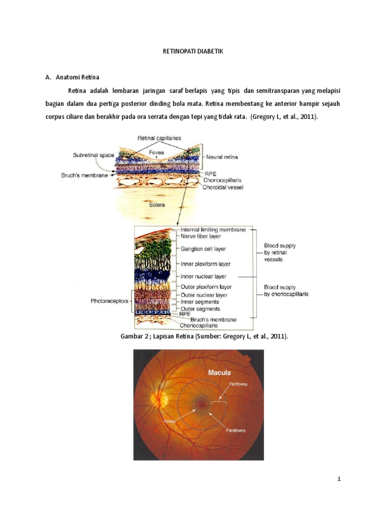 Retinopati Diabetik | PDF