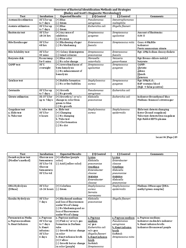 Overview of Bacterial Identification Methods and Strategies (Bailey and ...
