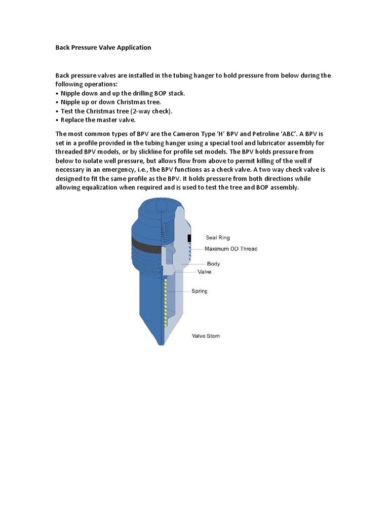 Back Pressure Valve Applications in Oil & Gas | PDF | Technology ...
