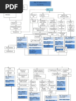Karnofsky/Lansky Performance Status | PDF