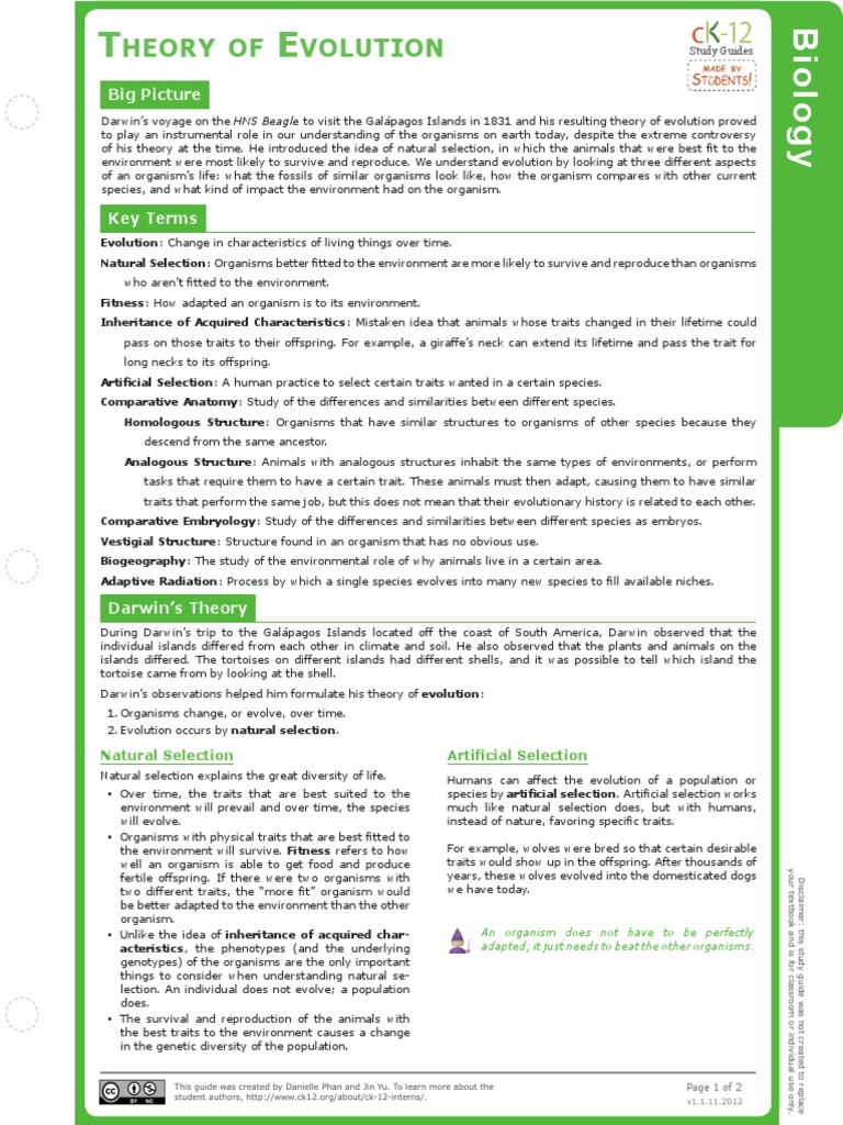 Theory of Evolution PDF | PDF | Natural Selection | Evolution