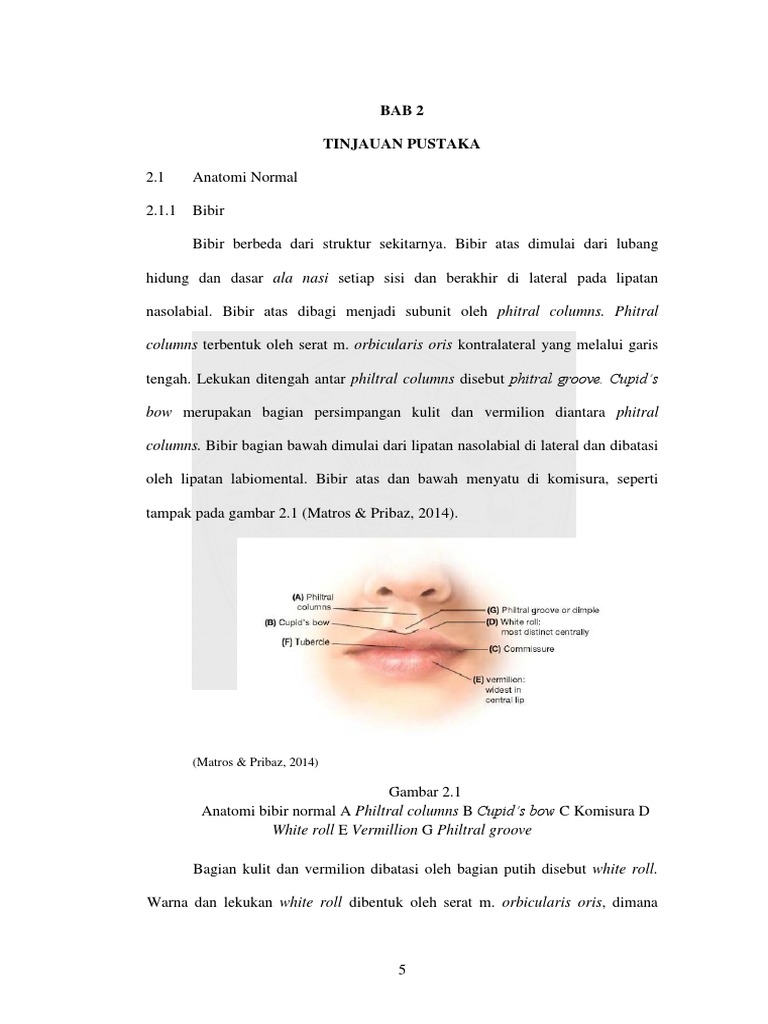 3049 P1 InV Farmasi K06 | PDF