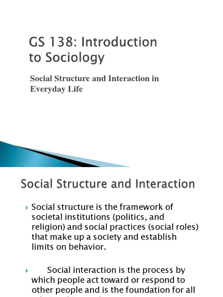 Social Structure | PDF | Social Status | Social Group