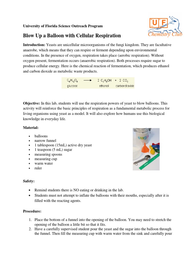Blow Up Balloons with Yeast Cellular Respiration | PDF | Yeast ...