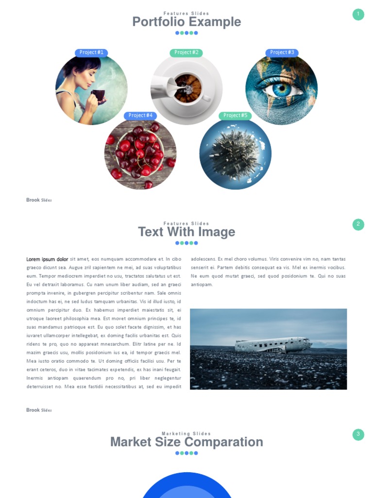 Portfolio Example: Project #1 Project #2 Project #3 | PDF | Text