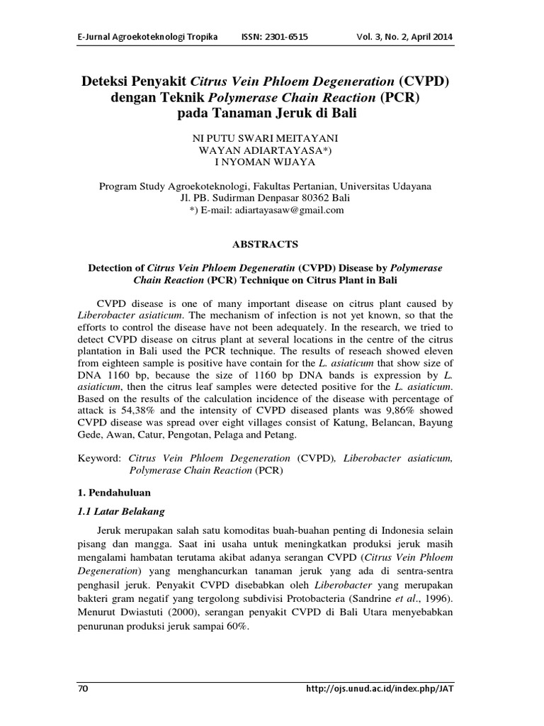 Deteksi Penyakit Citrus Vein Phloem Degeneration (CVPD) Dengan Teknik ...