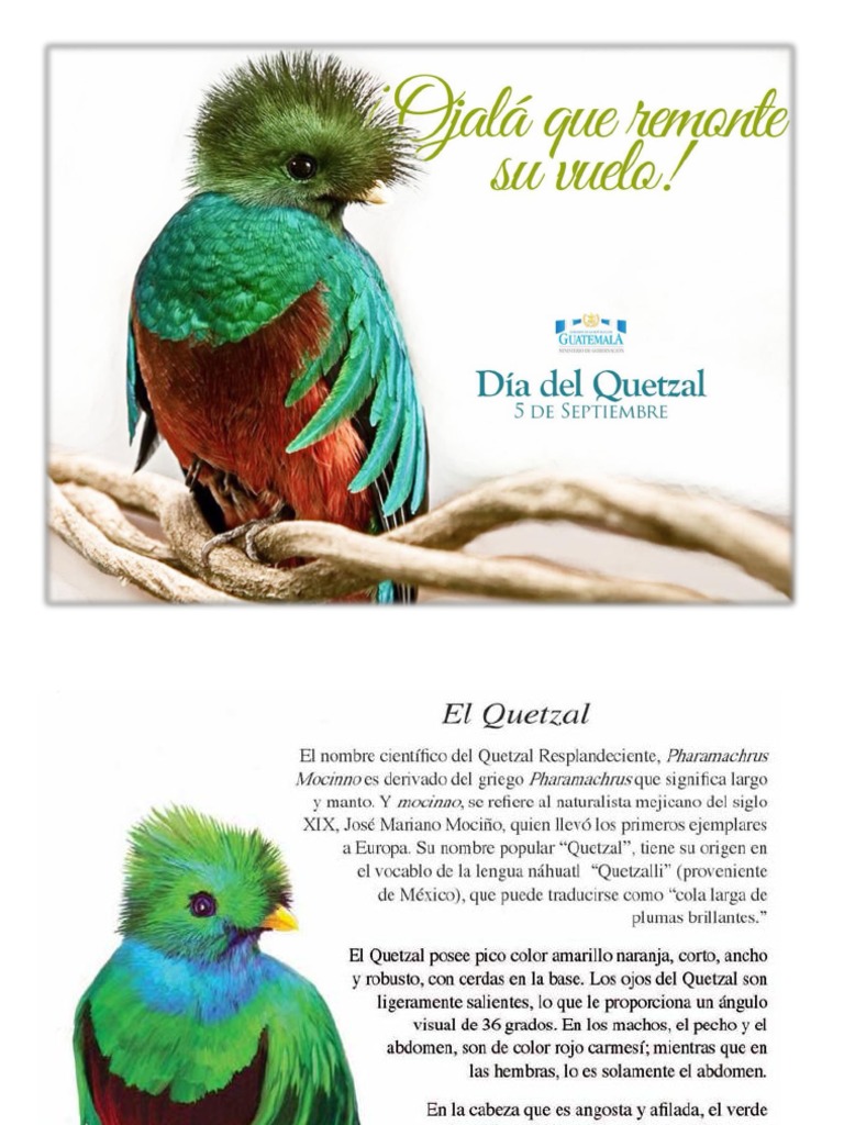 El Quetzal | PDF