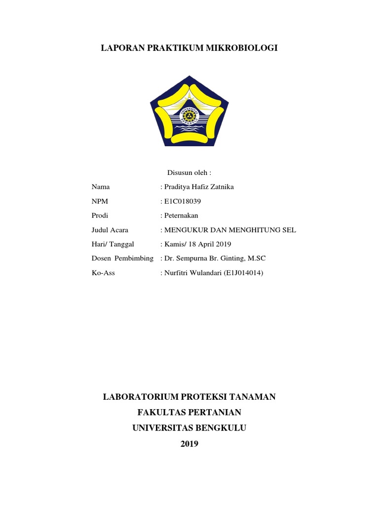 Mengukur & Menghitung Sel | PDF