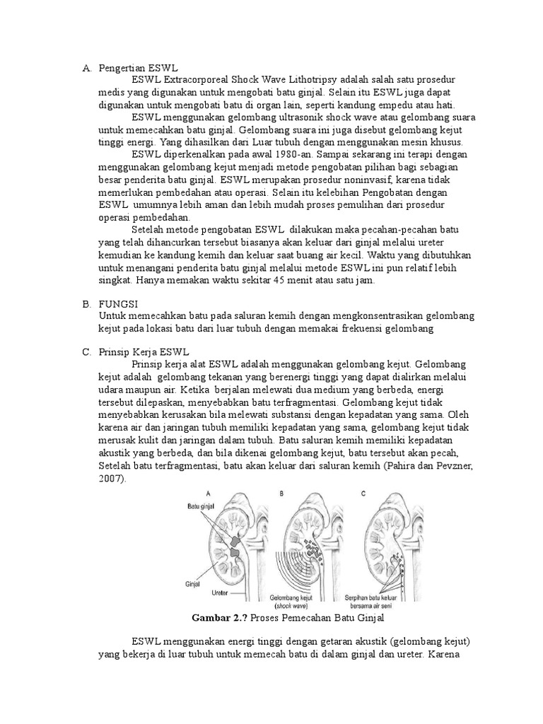 ESWL Fix | PDF | Sains & Matematika