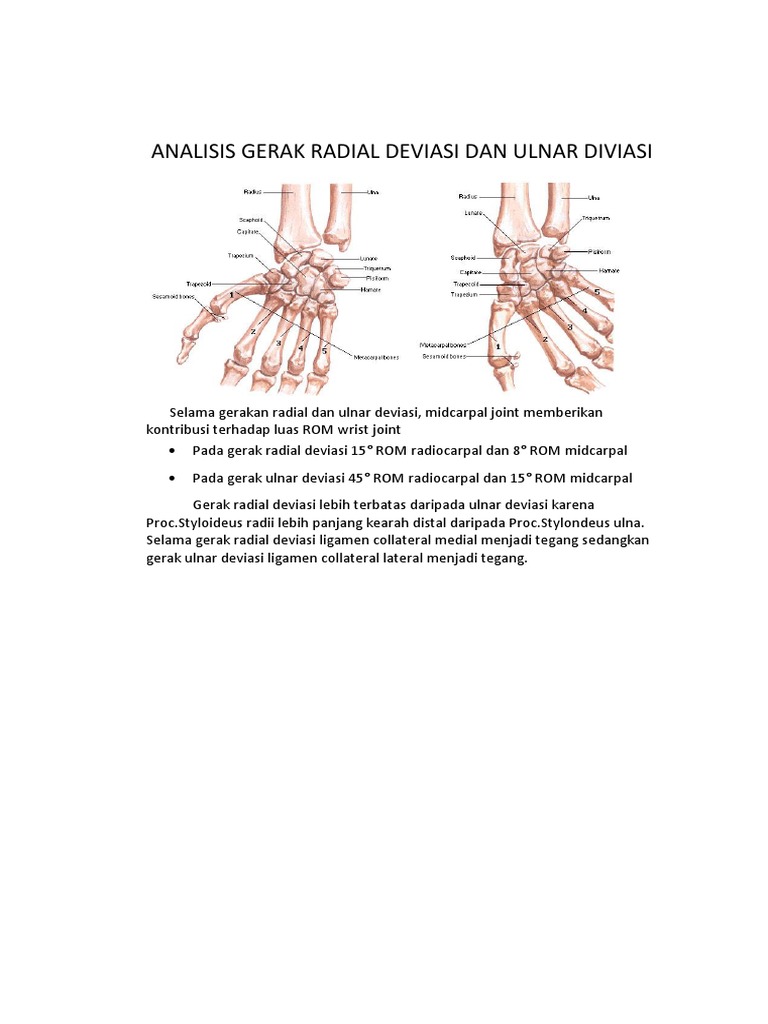 Analisis Radial dan Ulnar Deviasi | PDF