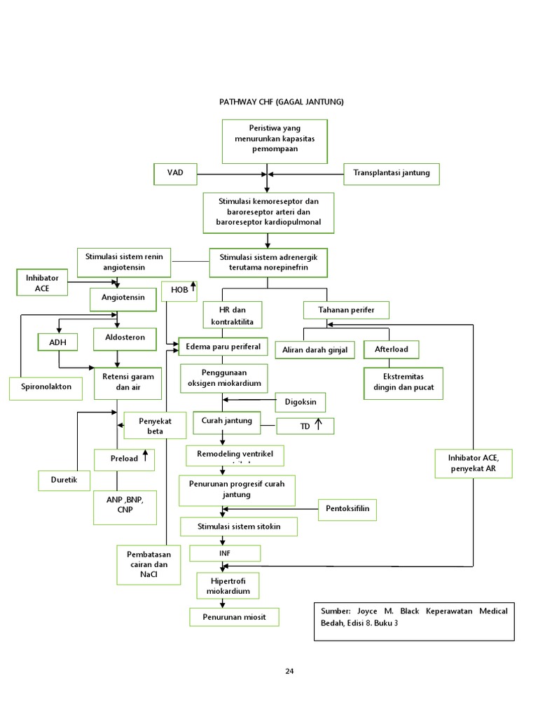 Pathway CHF Baru (326830) | PDF
