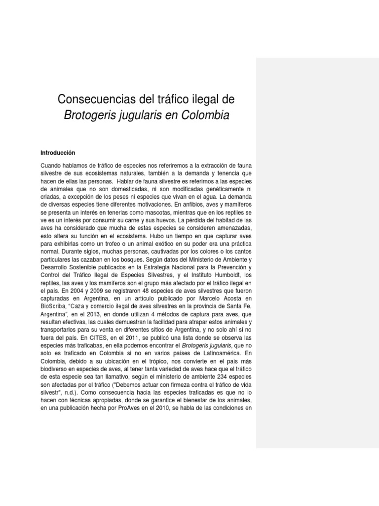 Impacto del tráfico de Brotogeris jugularis | PDF | Aves | Organismos