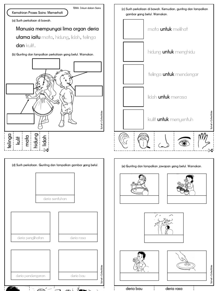 Memerhati BM PDF | PDF