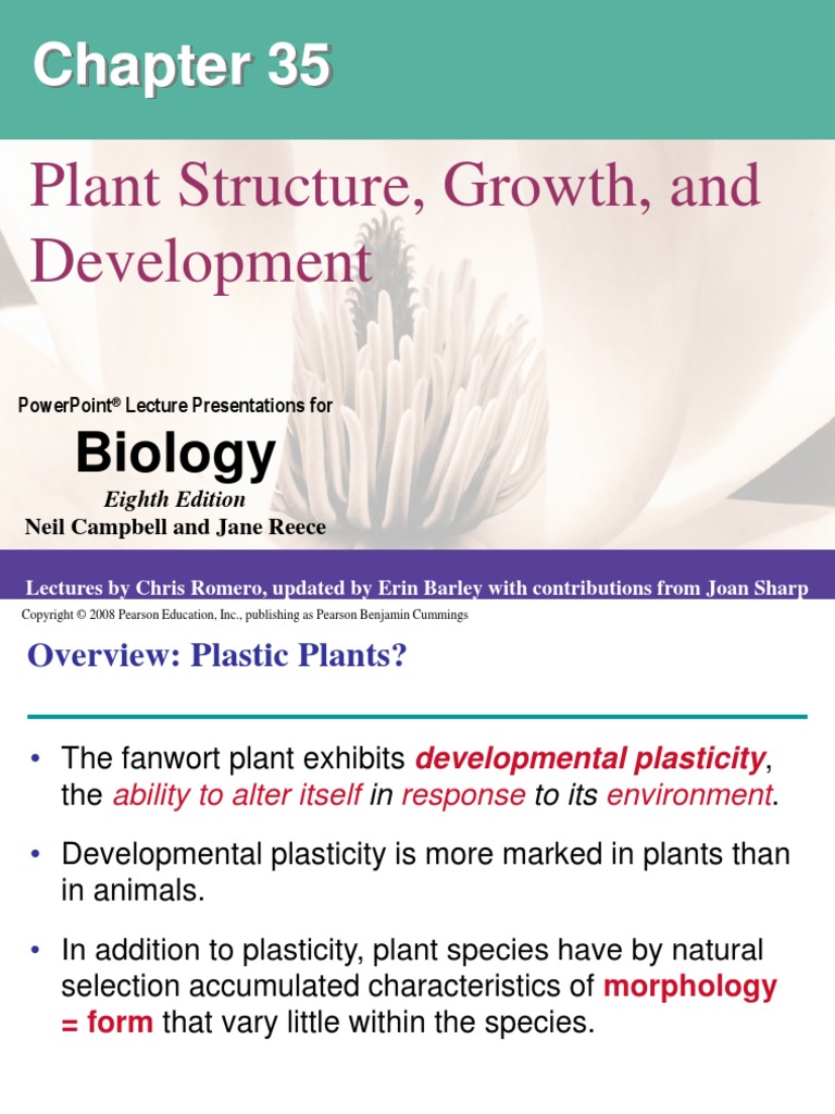 35 Lecture Presentation 0 | PDF | Leaf | Plant Stem