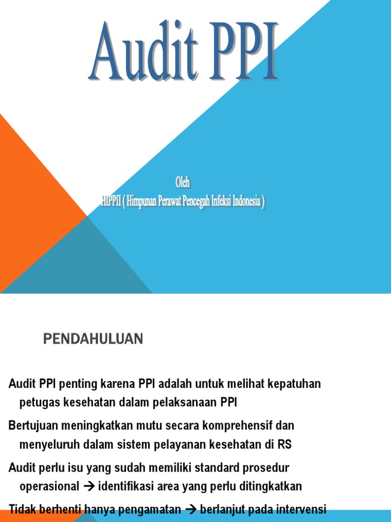 Audit Ppi | PDF