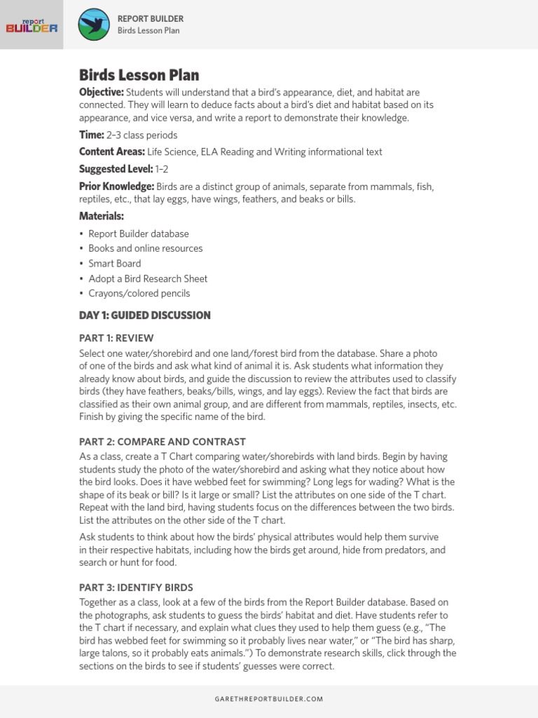 Birds Lesson Plan: Day 1: Guided Discussion | PDF | Beak | Birds