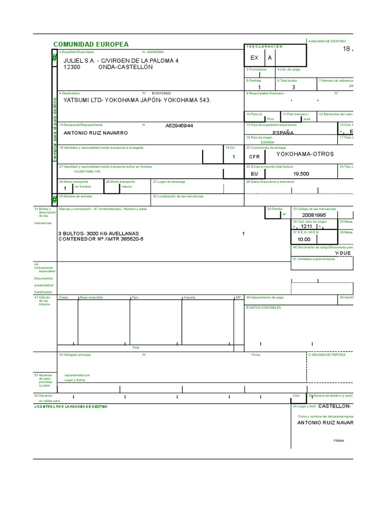 Plantilla DUA para Exportación a Japón | PDF | Economias | Business