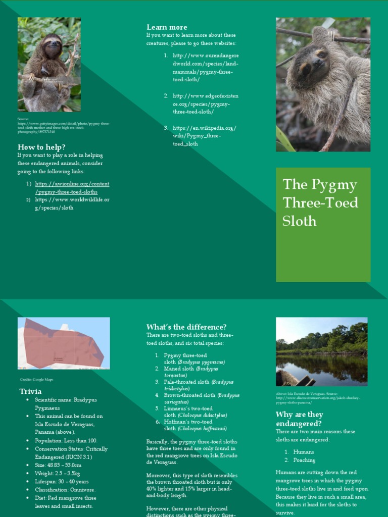 English Endangered Animal Brochure Scribd | PDF | Organisms | Nature