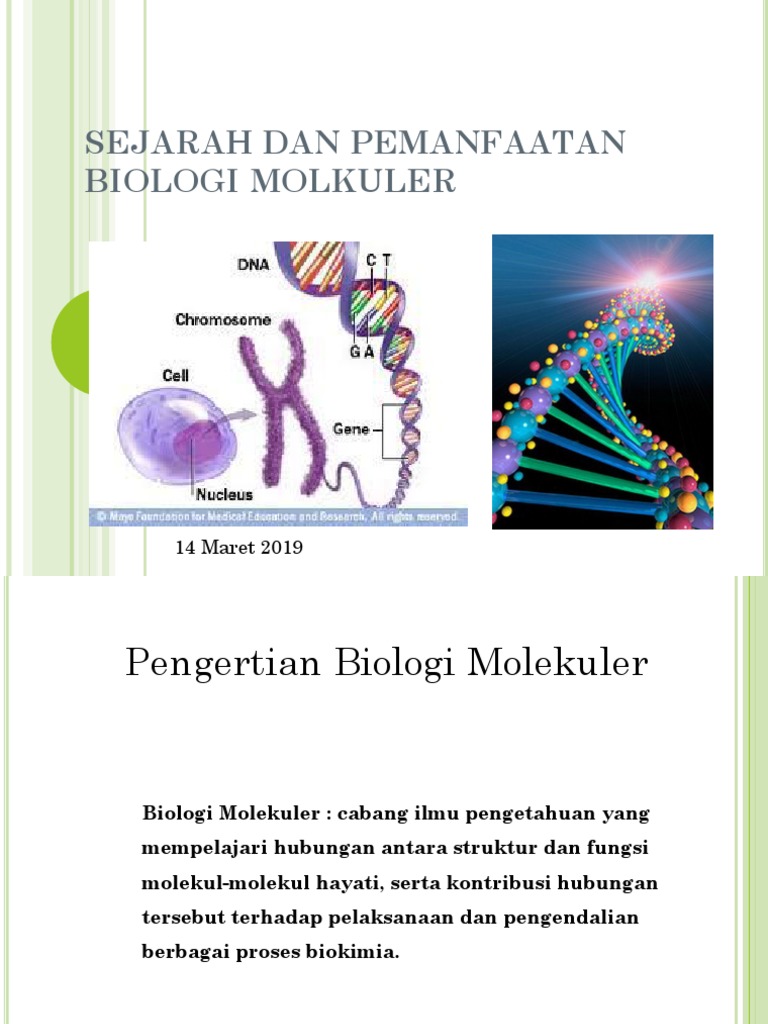 Sejarah Biologi Molekuler | PDF
