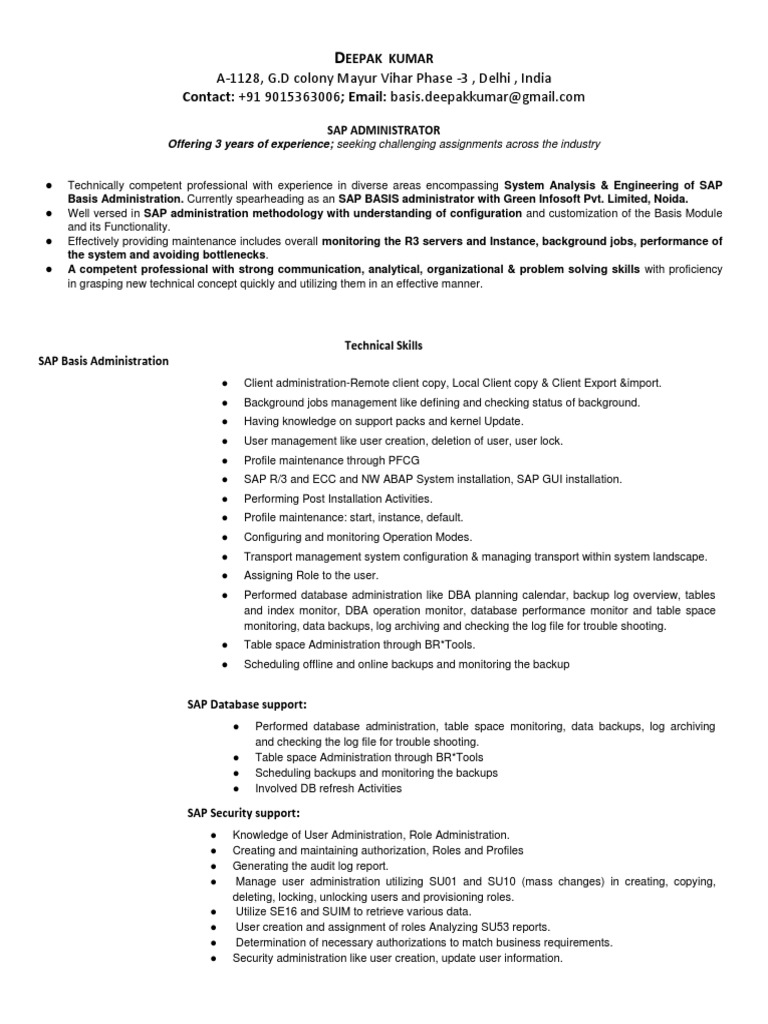 Sap User Types | PDF | Backup | Databases