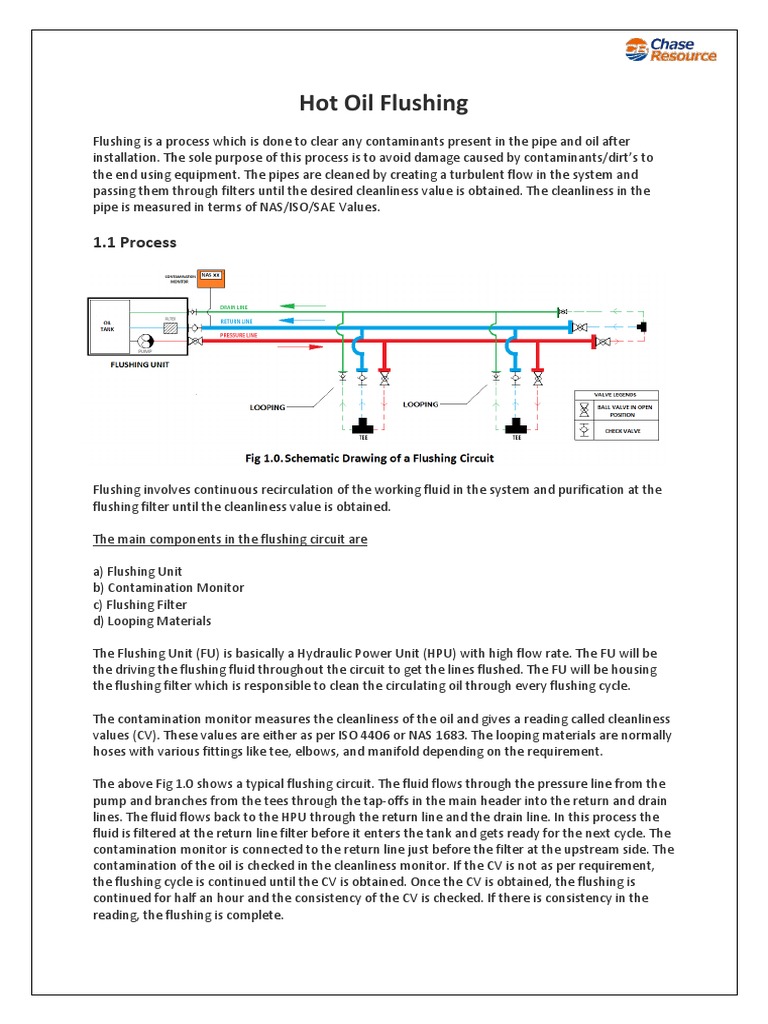 Flushing Whitepaper | PDF | Fluid Dynamics | Reynolds Number