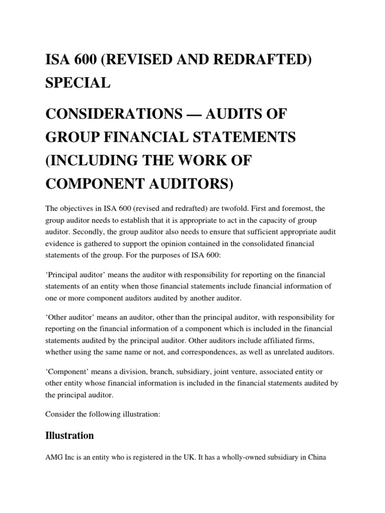 Audit ISA 600 | PDF | Financial Audit | Going Concern