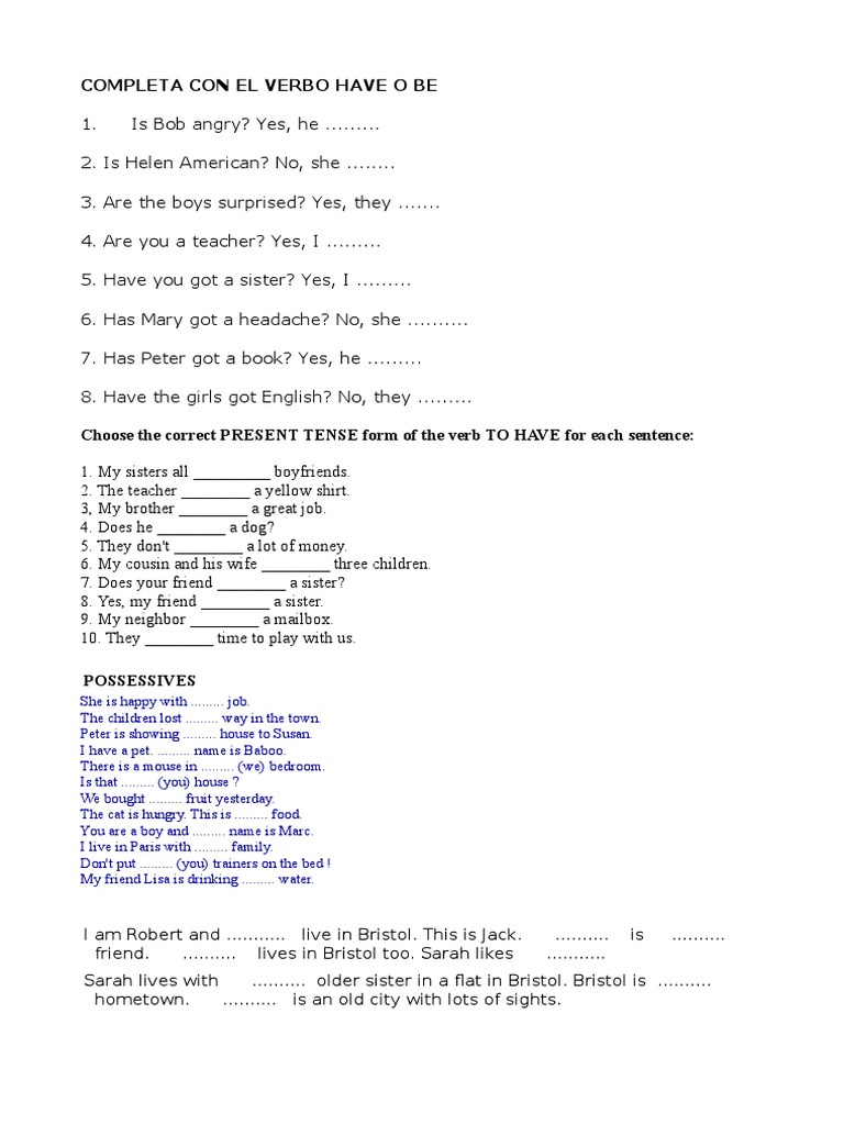 Verb To Have Possessives | PDF